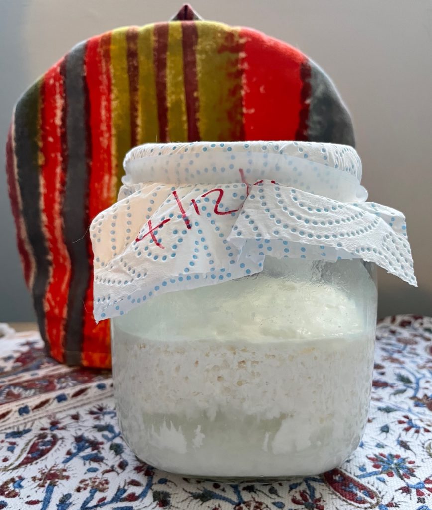 On making lactic acid bacteria juice (LAB) | tank green dot com