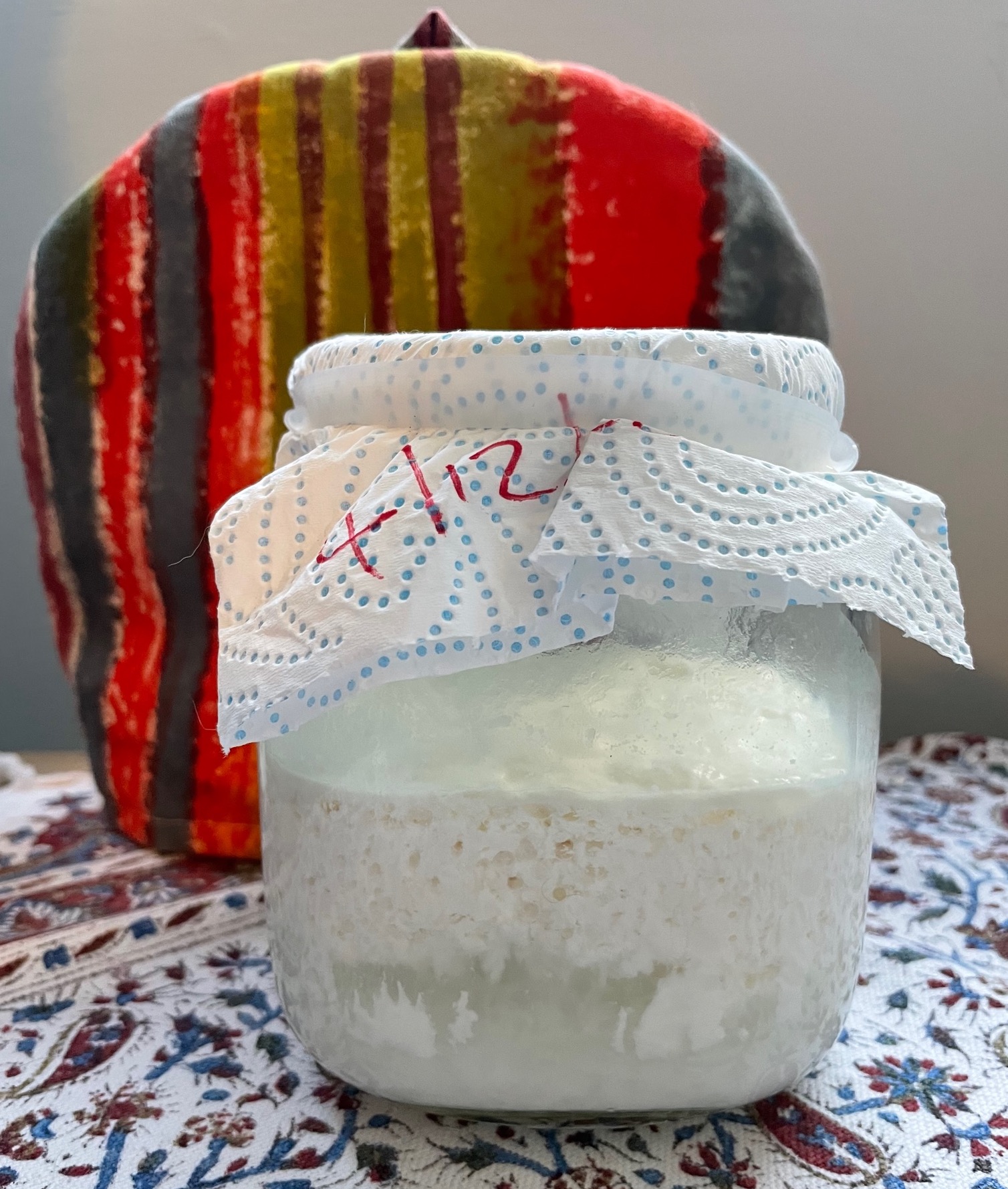 On making lactic acid bacteria juice (LAB) | tank green dot com